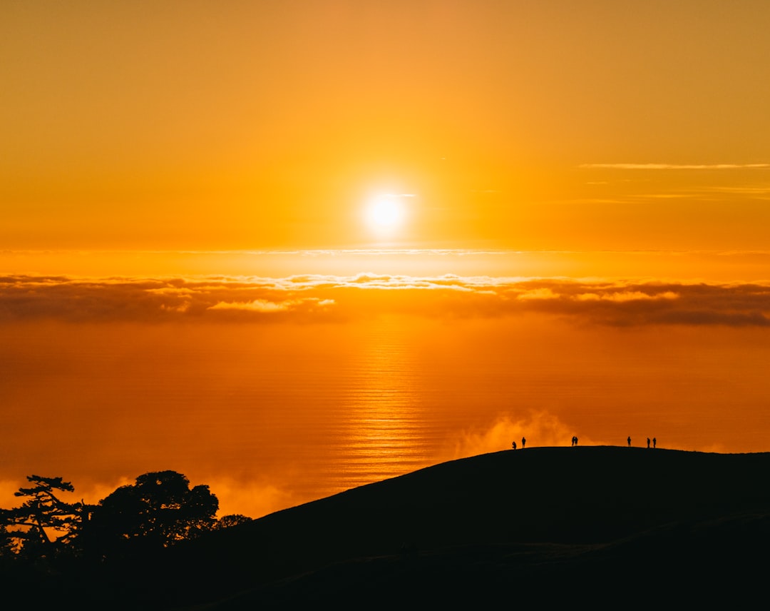 The Science Behind Circadian Lighting – Kiyoshiki